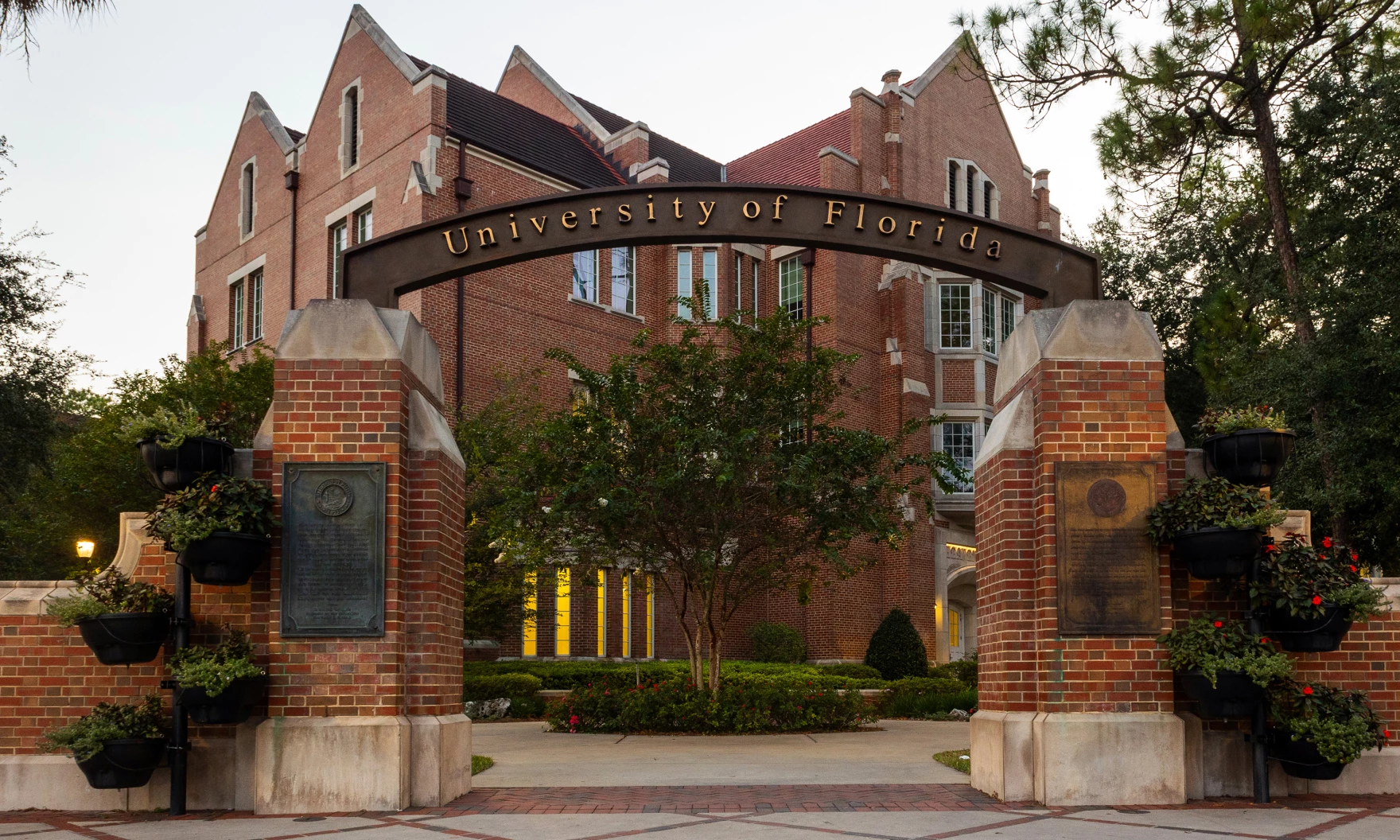 University of Florida-Online - College Profile, Admissions & Programs ...